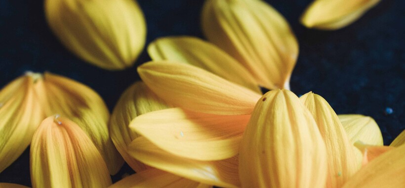 RAYAN FOR OIL EXTRACTION & FEED MILL